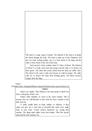 Example Factual Report PDF Tyrannosaurus Sun, 49% OFF