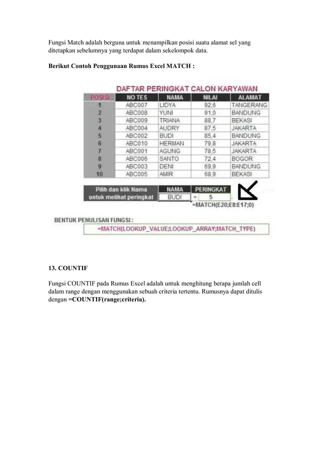 MODUL_RUMUS RUMUS EXCELL dan Cara Penggunaannya.pdf