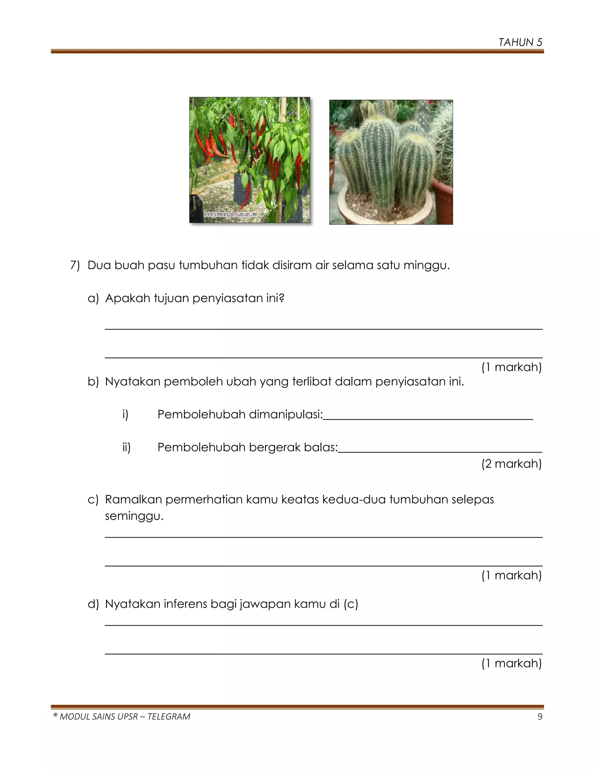 Modul sains upsr tahun 5 | PDF