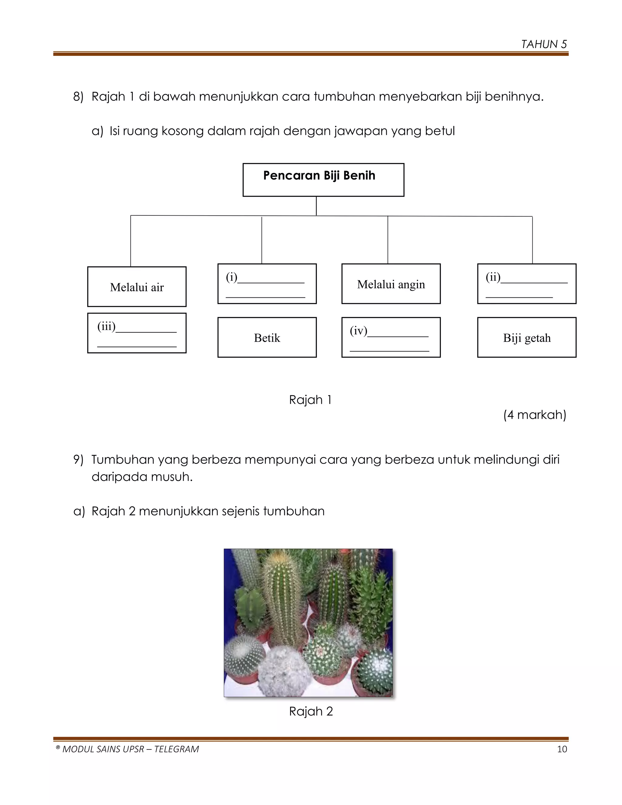 Modul sains upsr tahun 5 | PDF