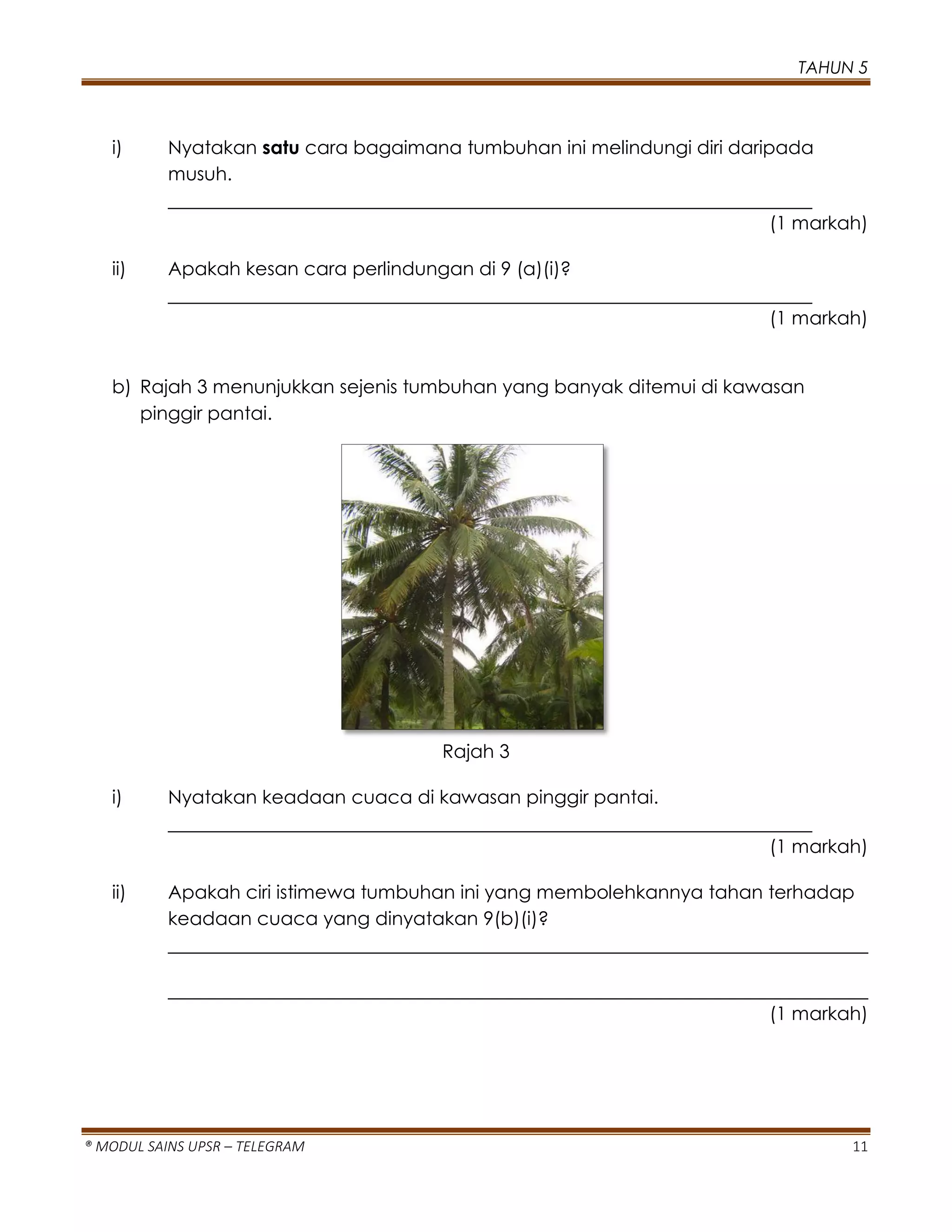 Modul sains upsr tahun 5 | PDF