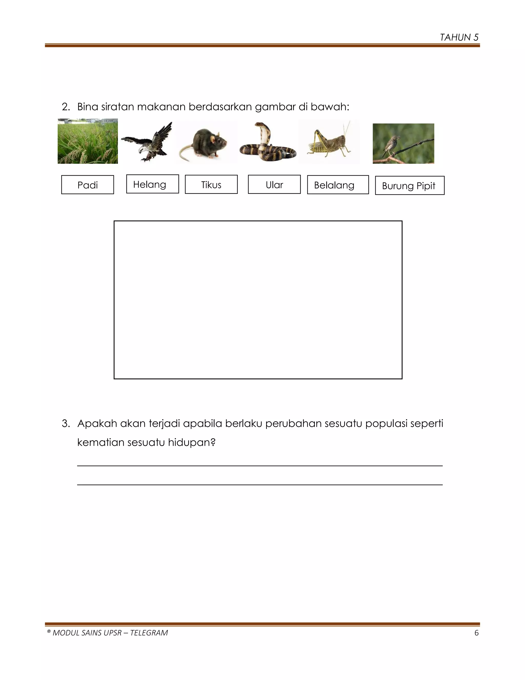 Modul sains upsr tahun 5 | PDF
