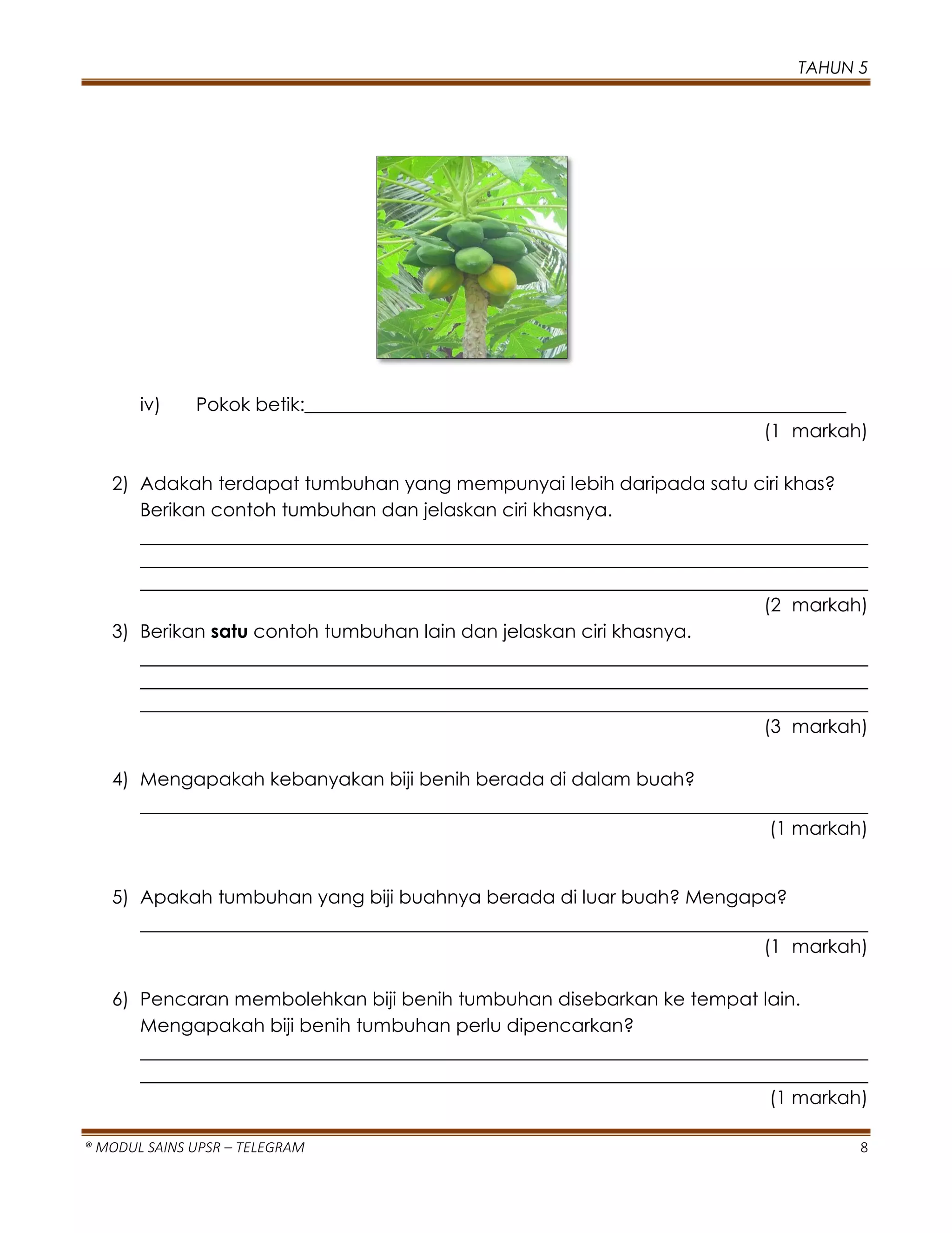 Modul sains upsr tahun 5 | PDF