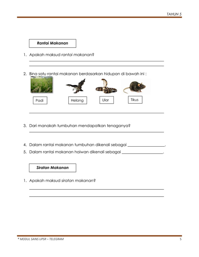 Modul sains upsr tahun 5 | PDF