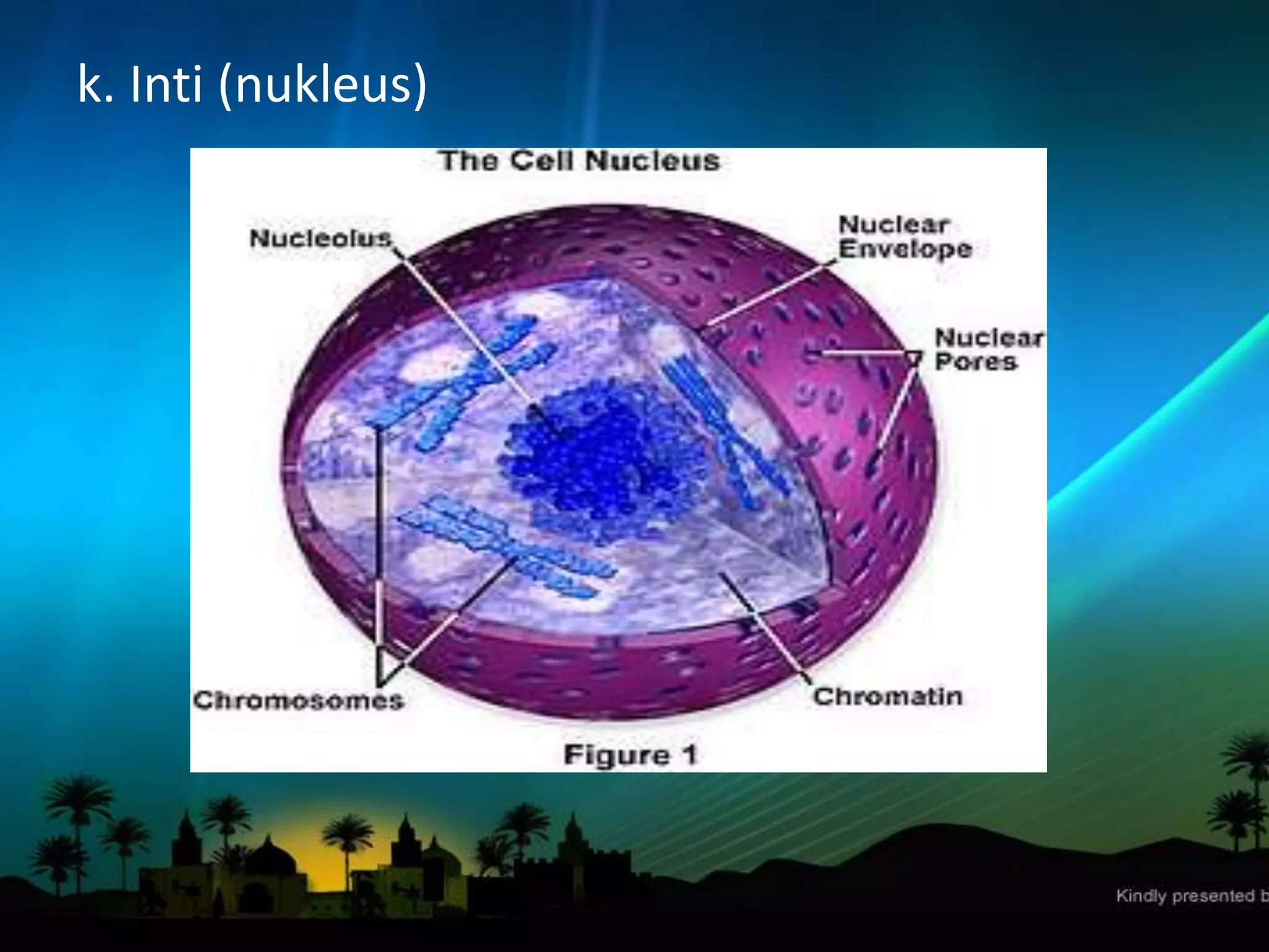Modul sel dan genetika | PPTX