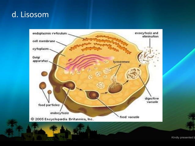 Modul sel dan genetika | PPTX