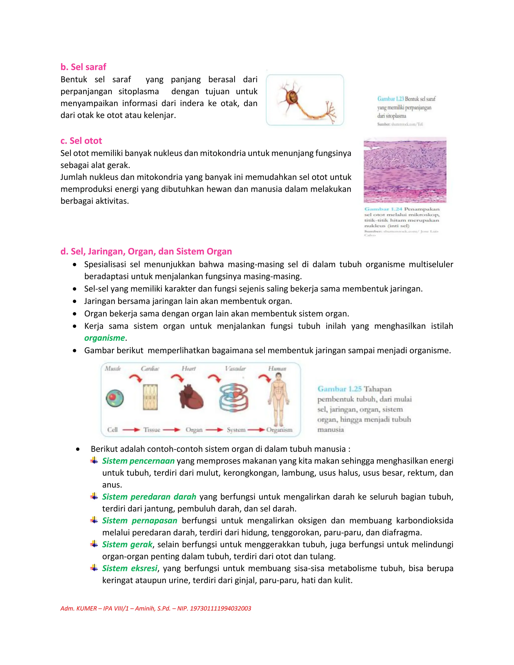 MODUL SEL DIFERENSIASI.pdf