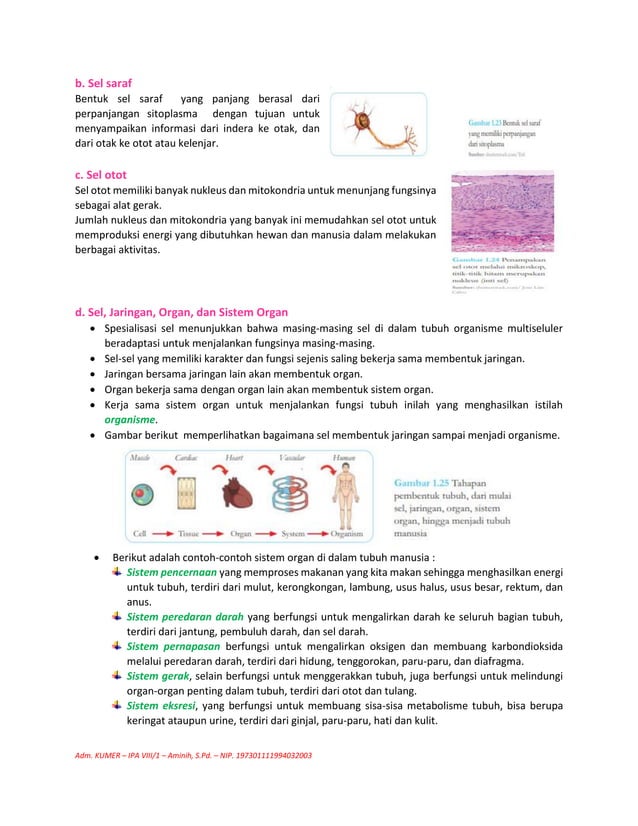 MODUL SEL DIFERENSIASI.pdf