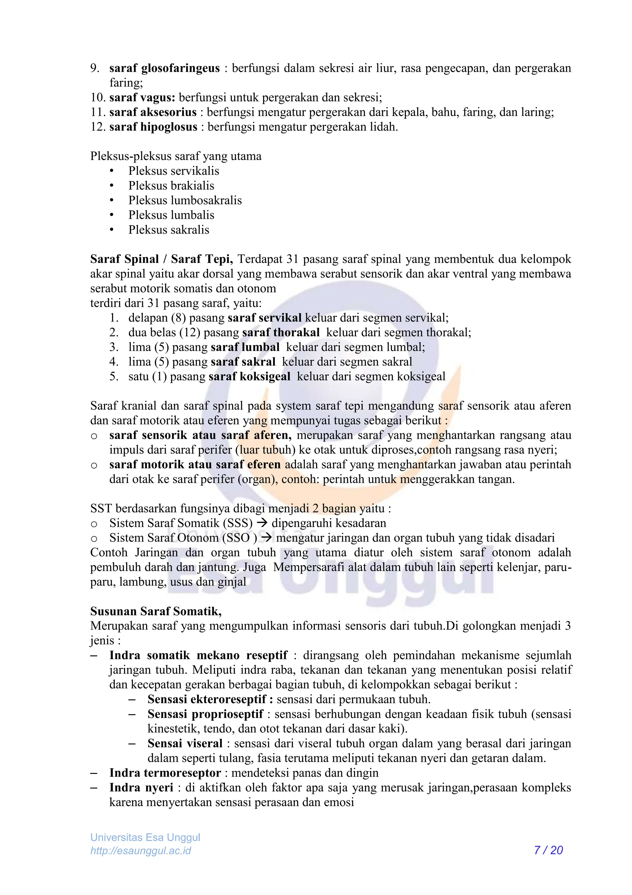 Modul Sesi 11 RMIK140 Anatomi Fisiologi.pdf