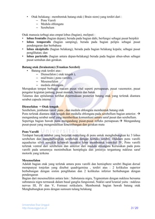 Modul Sesi 11 RMIK140 Anatomi Fisiologi.pdf