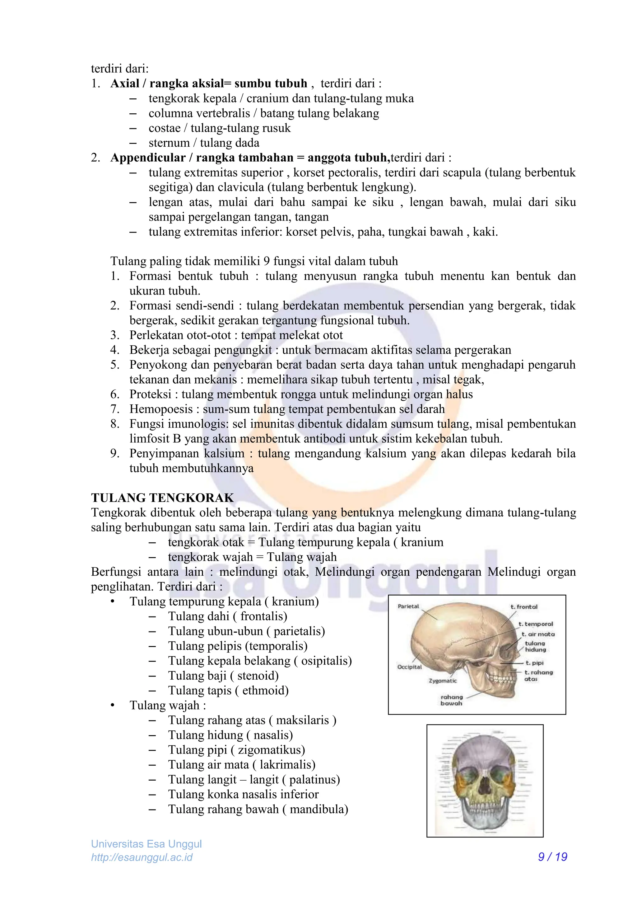 Modul Sesi 6 RMK140 Anatomi Fisiologi..pdf