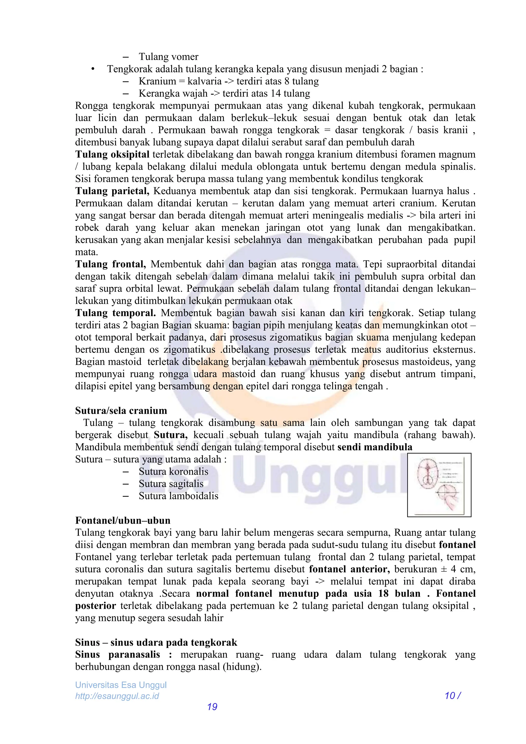 Modul Sesi 6 RMK140 Anatomi Fisiologi..pdf