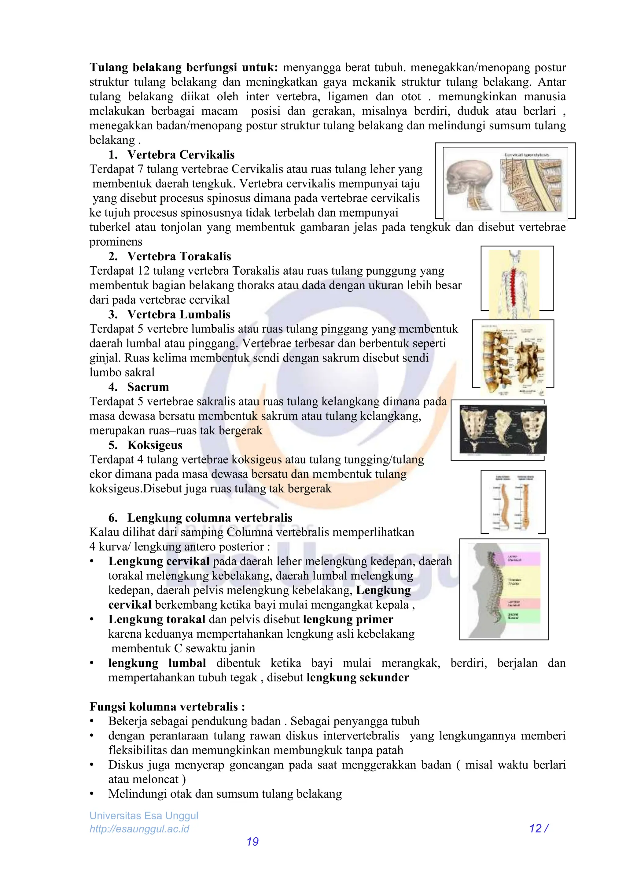 Modul Sesi 6 RMK140 Anatomi Fisiologi..pdf