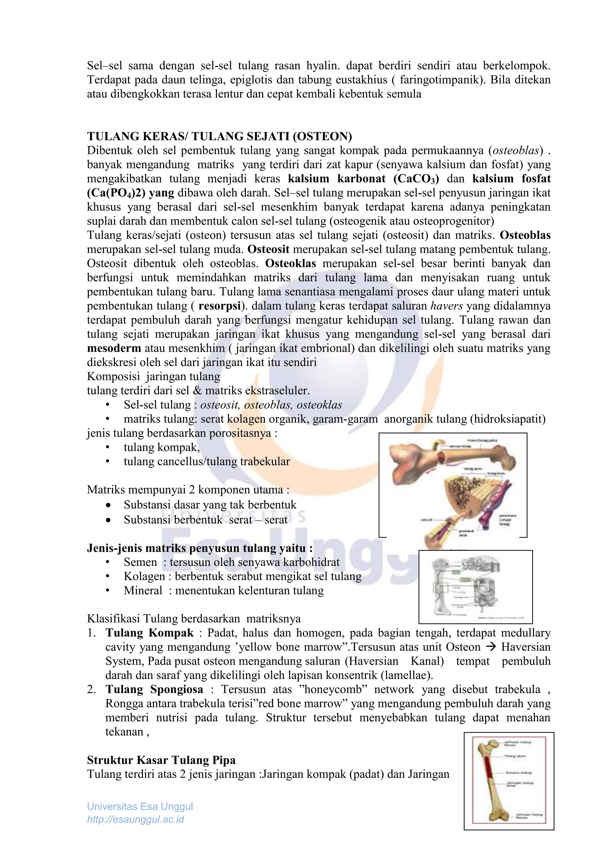 Modul Sesi 6 RMK140 Anatomi Fisiologi..pdf