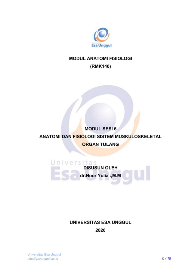 Modul Sesi 6 RMK140 Anatomi Fisiologi..pdf