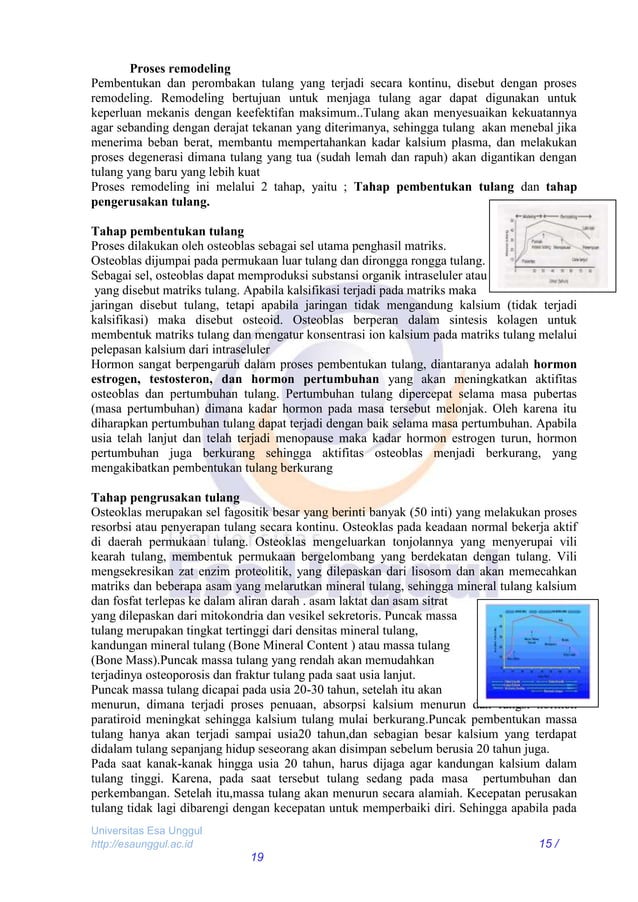 Modul Sesi 6 RMK140 Anatomi Fisiologi..pdf