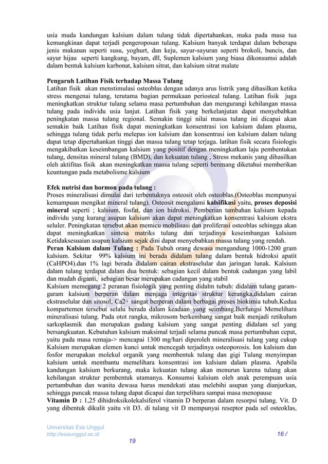 Modul Sesi 6 RMK140 Anatomi Fisiologi..pdf