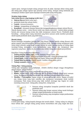 Modul Sesi 6 RMK140 Anatomi Fisiologi..pdf