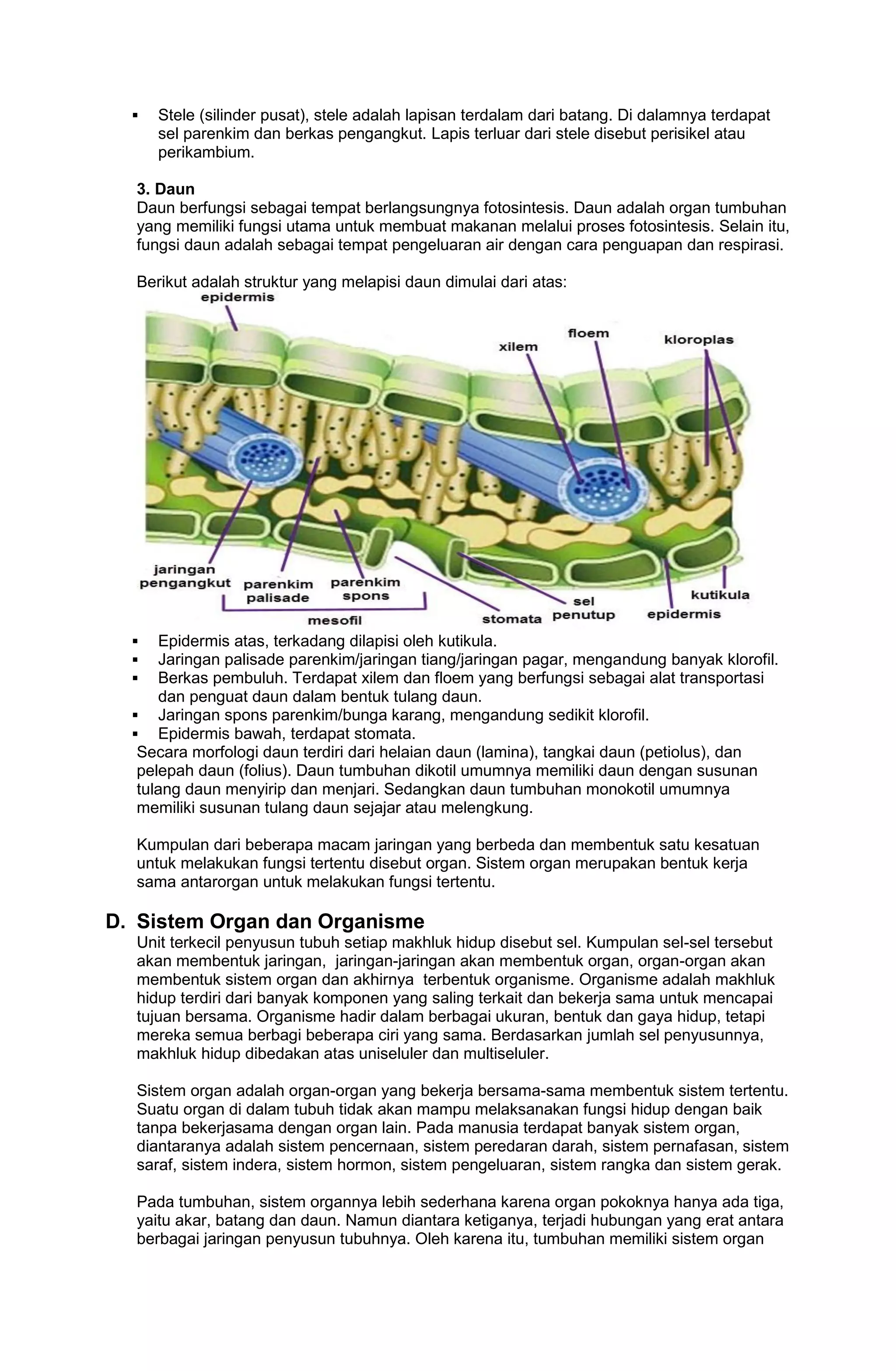Modul sistem organisasi kehidupan makhluk hidup | PDF