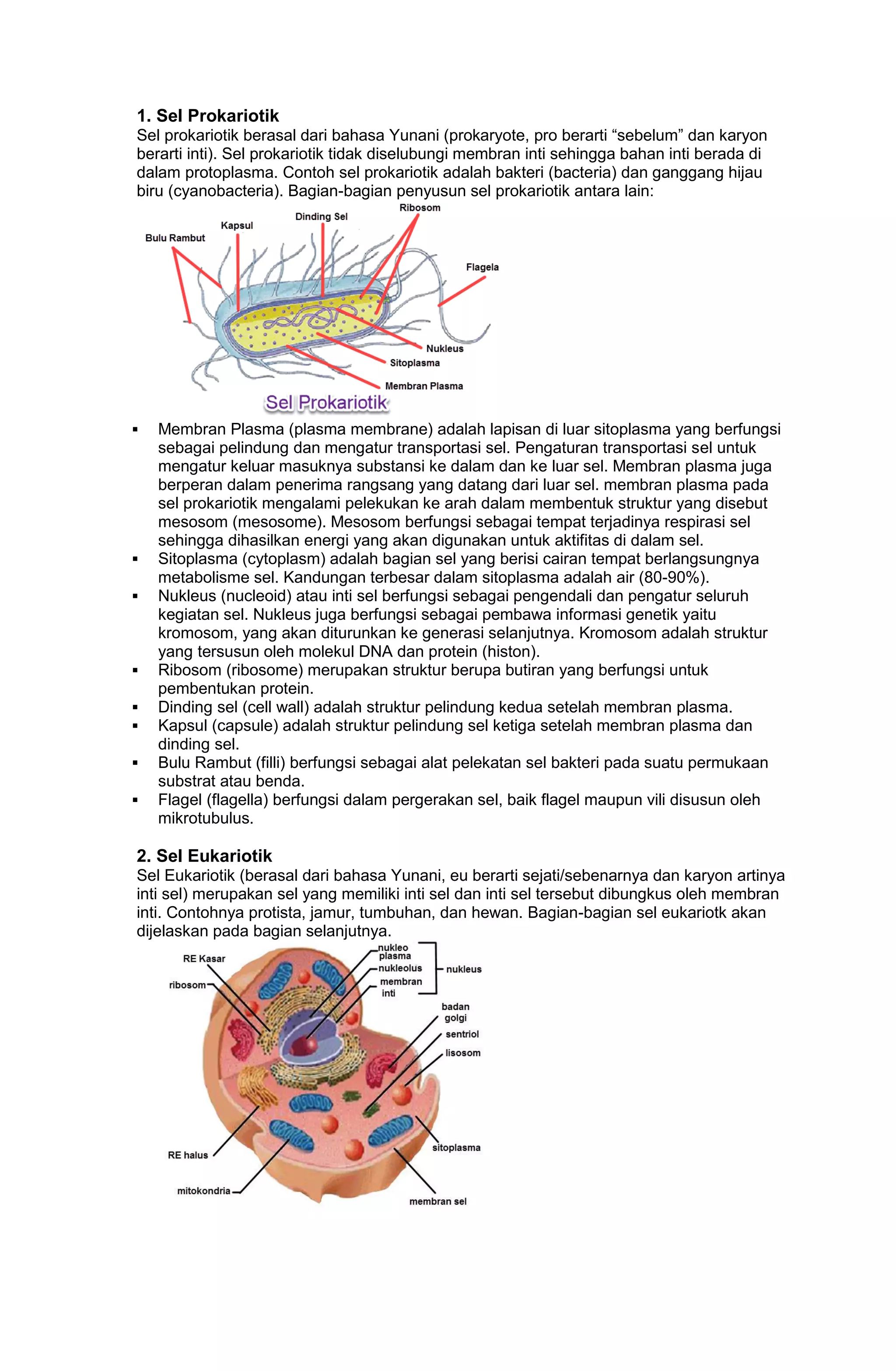 Modul sistem organisasi kehidupan makhluk hidup | PDF