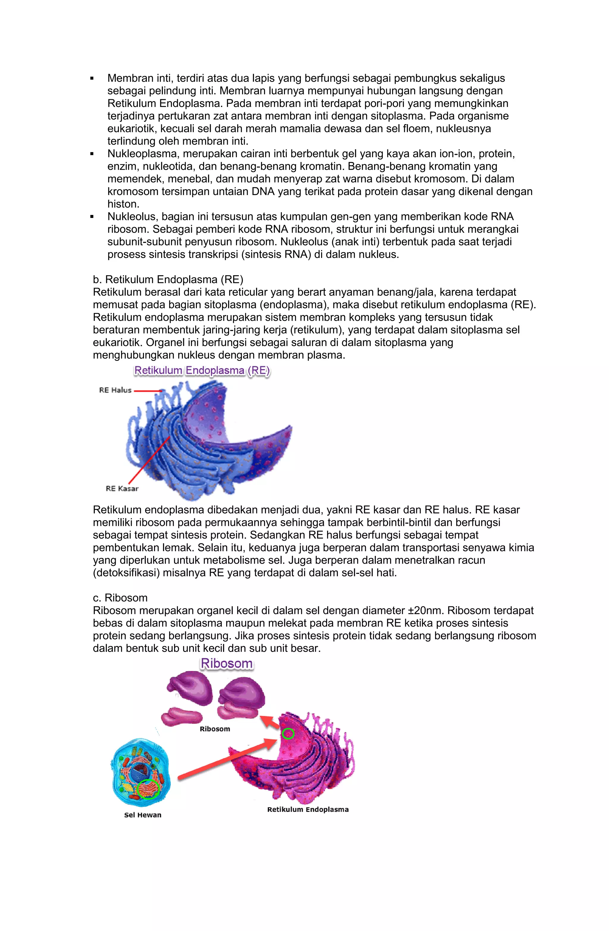 Modul sistem organisasi kehidupan makhluk hidup | PDF