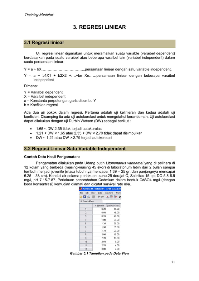 Modul statistik spss | PDF