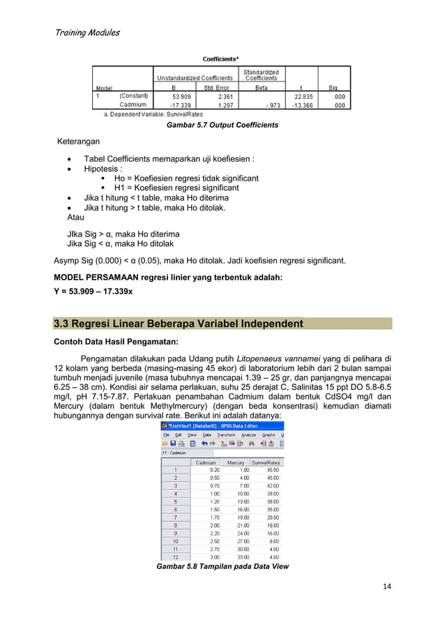 Modul statistik spss | PDF