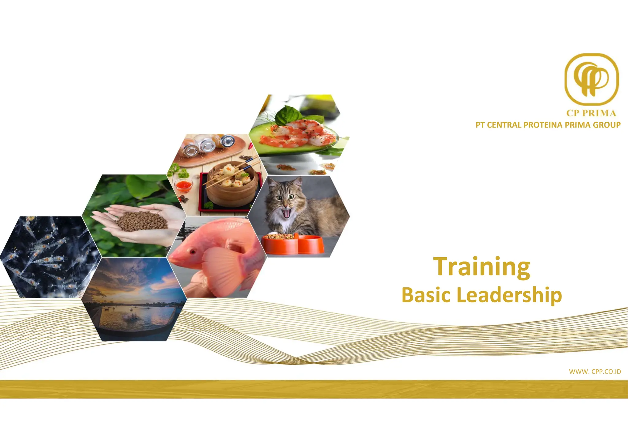 Modul Training Basic Leadership Training.pdf
