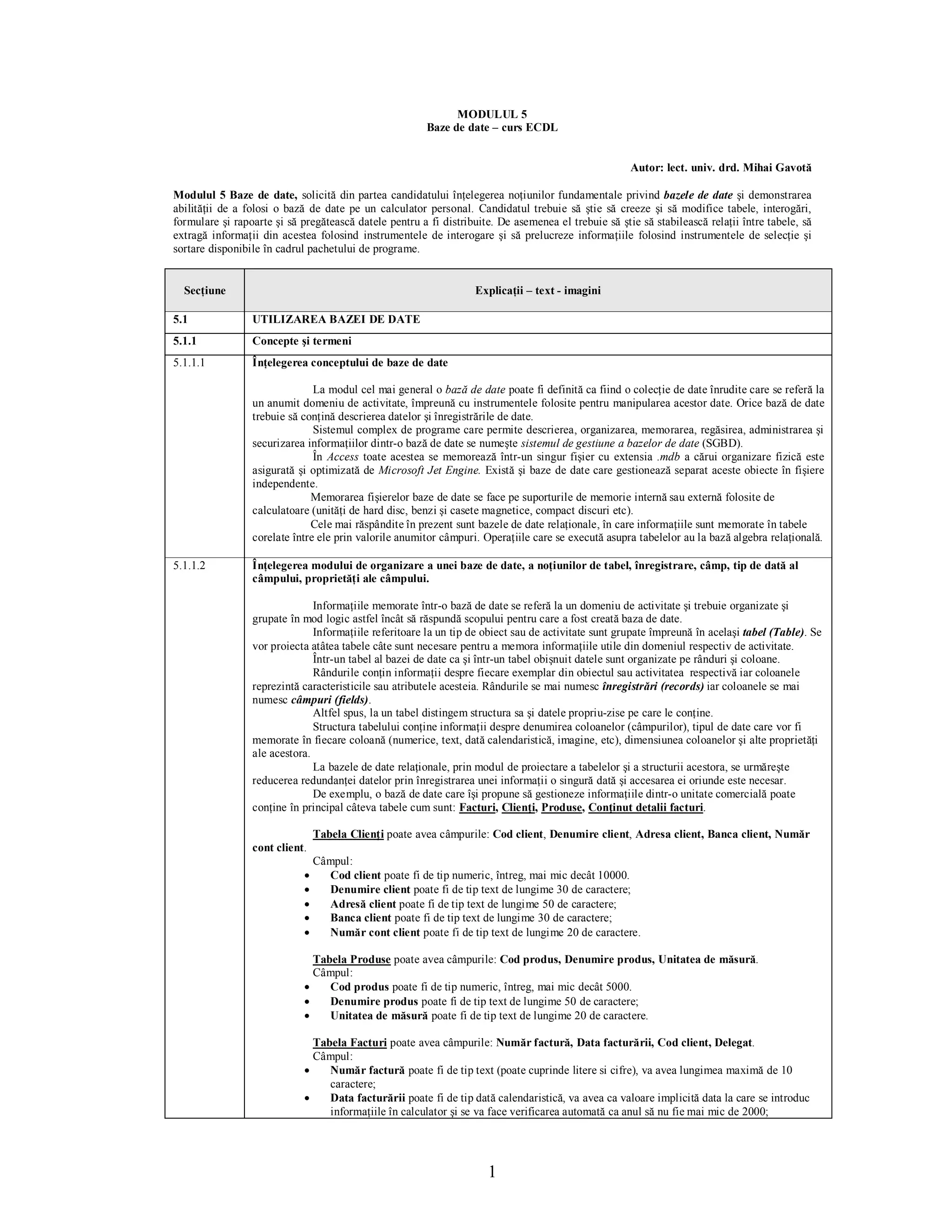 Modulul 5 access | PDF