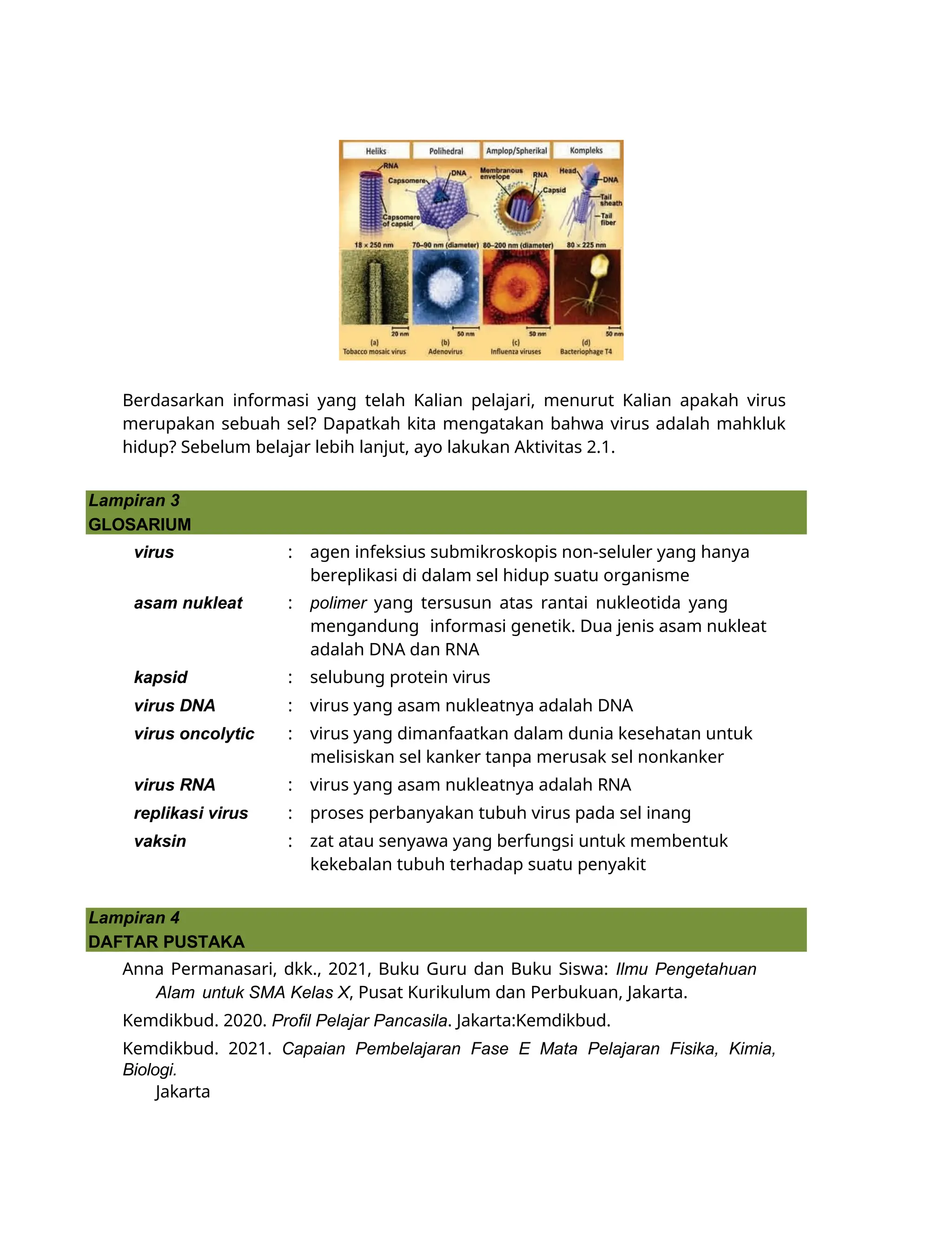 MODUL pembelajaran materi VIRUS kelas x sma.DOCX