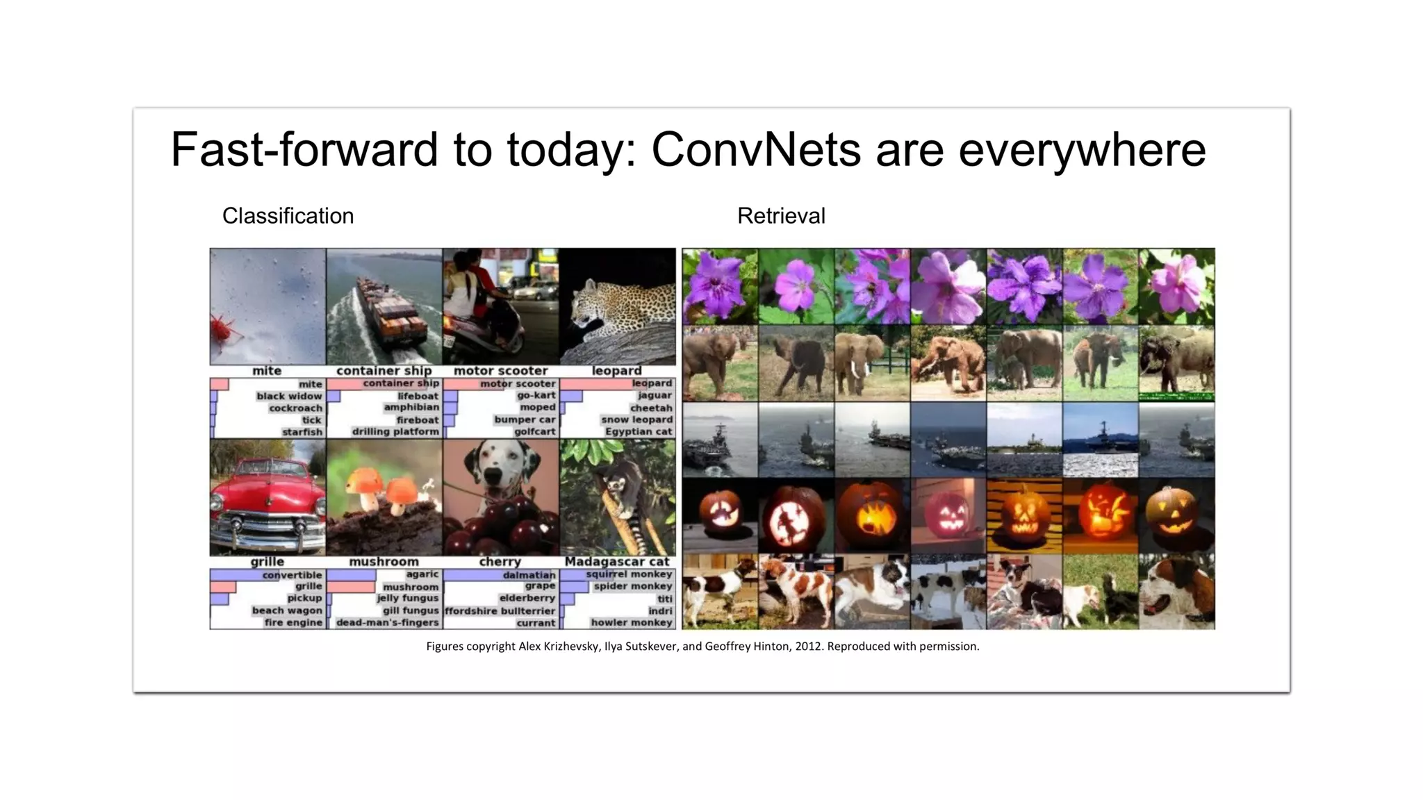 Introduction to CNN | PDF