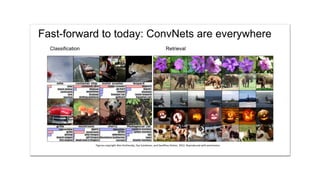 Introduction to CNN | PDF