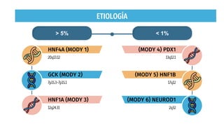 MODY.pptx