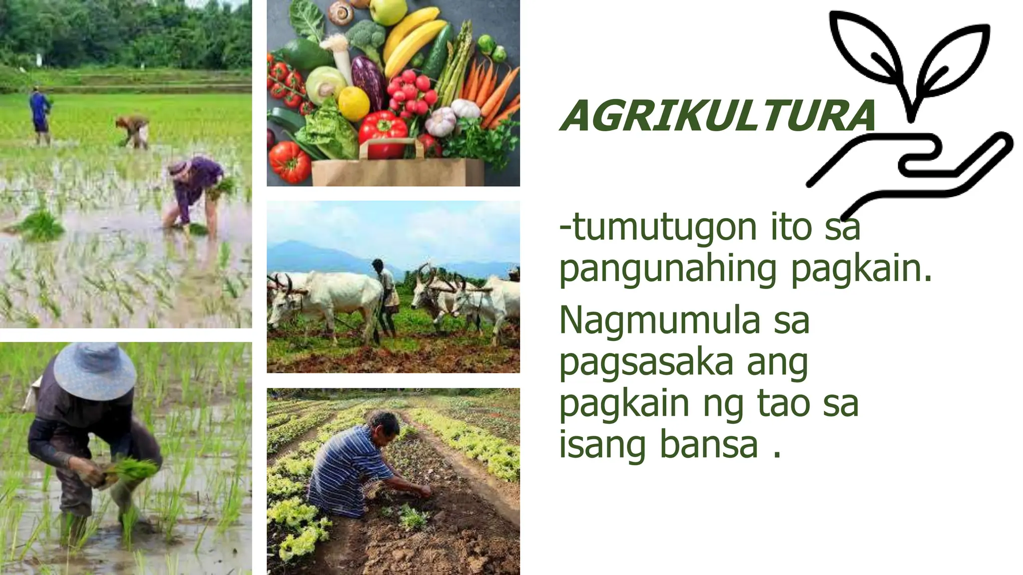 MODYUL 4-IMPLIKASYON NG LIKAS NA YAMAN SA PAMUMUHAY NG MGA ASYANO final ...