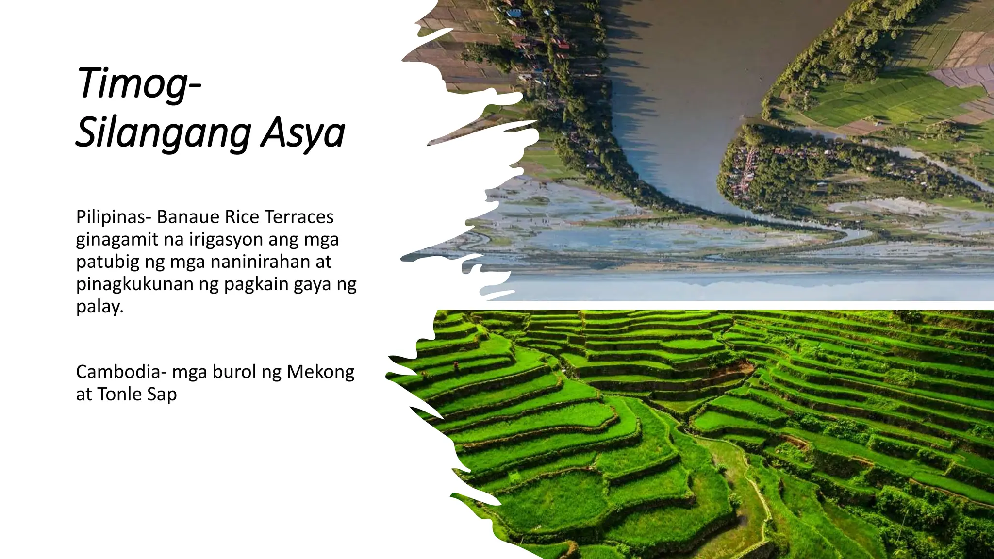 MODYUL 4-IMPLIKASYON NG LIKAS NA YAMAN SA PAMUMUHAY NG MGA ASYANO final ...