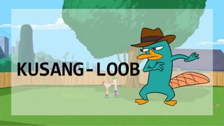 Modyul 5: Ang Pagkukusa ng Makataong Kilos at mga Salik na Nakaapekto ...