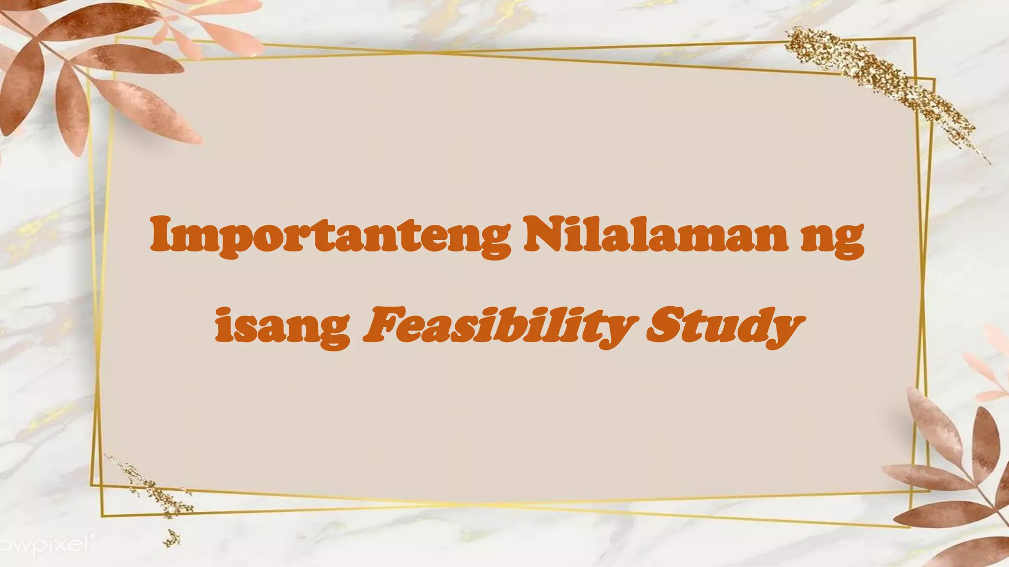 Modyul 7 (Ang Feasibility Study).pdf