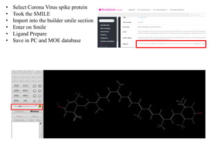 Molecular operating environment1234.pptx