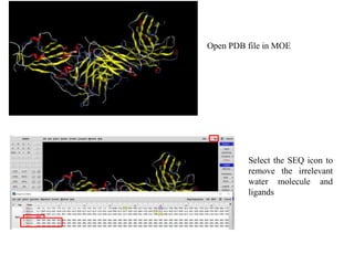 Molecular operating environment1234.pptx