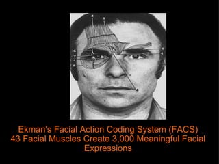 P. Moed Unmasking The Face | PPT