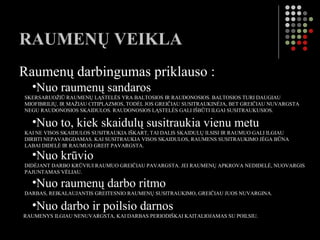 žMogaus raumenys | PPT