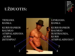 žMogaus raumenys | PPT