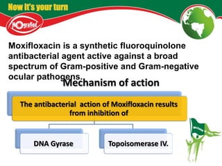 Mograflox eye drops presentation | PPTX