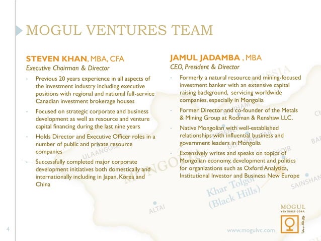 Mogul presentation feb 2013 final | PDF