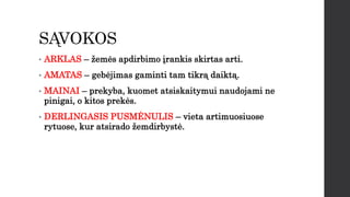 ŽMOGUS TAMPA ŽEMDIRBIU.pptx