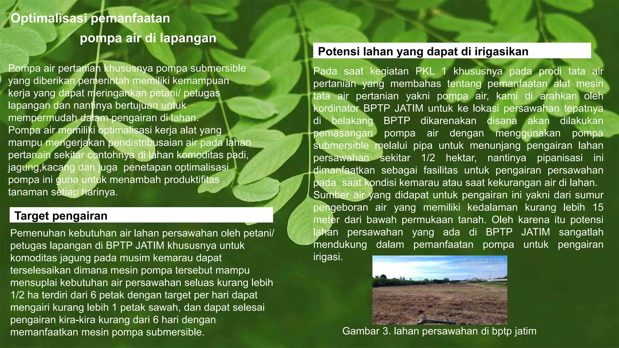 Presentasi PKL 1.pptx