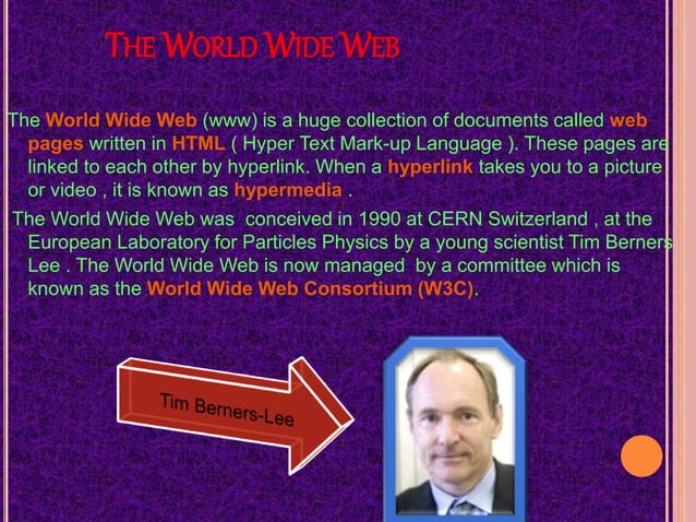 Presentation on World Wide Web (WWW) | PPTX