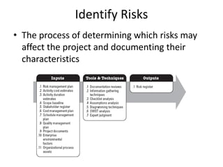 Risk Management Best Practices | PDF