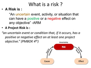Risk Management Best Practices | PDF