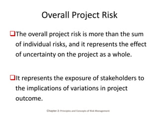 Risk Management Best Practices | PDF
